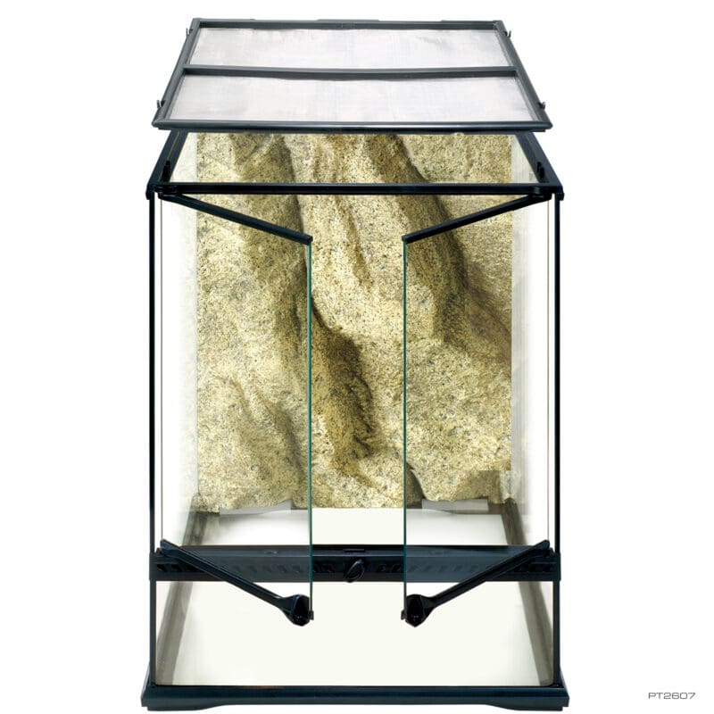 Gecko Enclosure Setup - Daggi's Reptiles